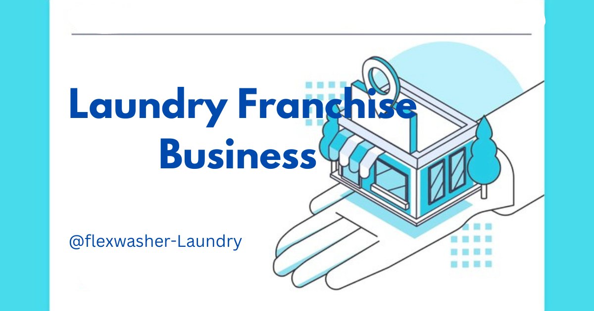 Understanding the Laundry Franchise Business [Must Read]
